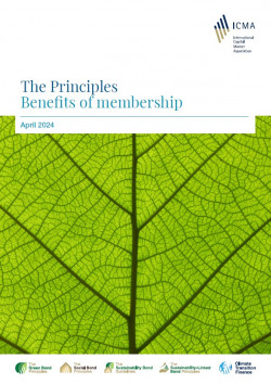 Principles membership » ICMA