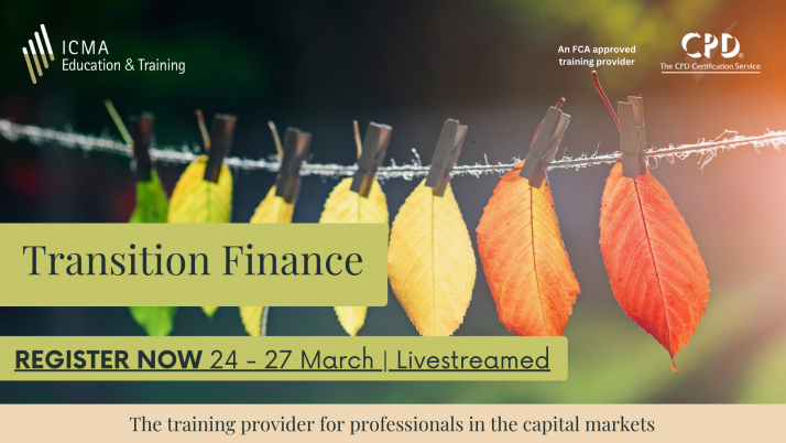 Sustainable Finance | ICMA » ICMA